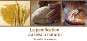 La panification au levain naturel : glossaire des savoirs. - AIPF Calvel